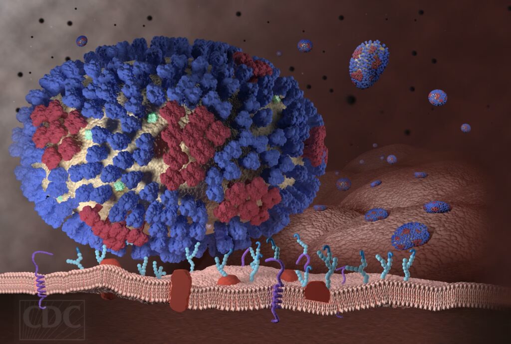 Celebrate National Flu Shot Week – Schedule Your Flu Shot Today ...